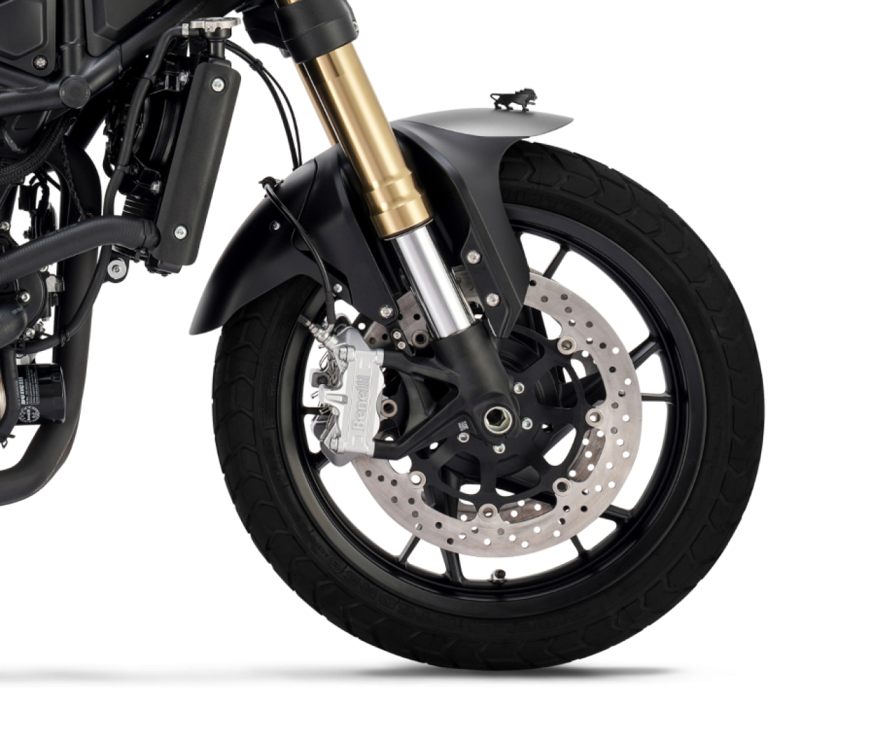 Leoncino 800 | Benelli